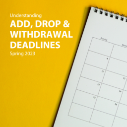 Understanding Add, Drop, & Withdrawal Deadlines – CEHD Enrichment